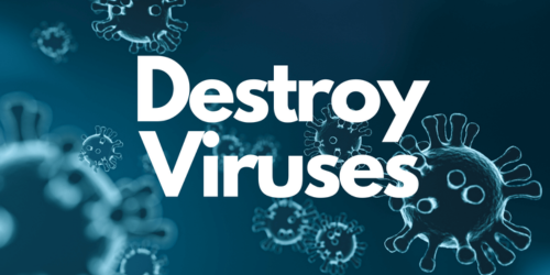 Destroy Viruses – Dust Mite Allergy Solutions