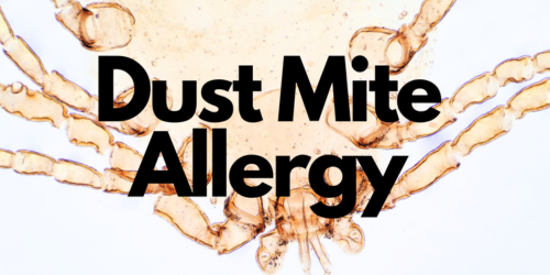 Dust Allergy – Dust Mite Allergy Solutions