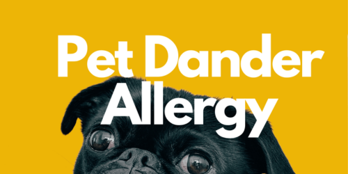 Pet Dander Allergy – Dust Mite Allergy Solutions