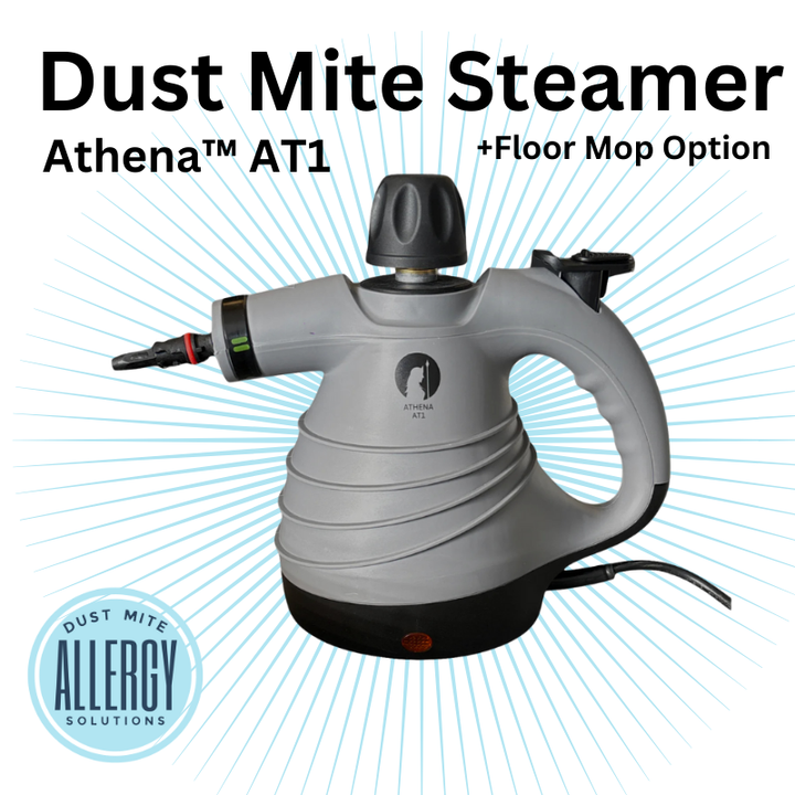 How to get rid of dust mites in house - A comprehensive guide – Dust ...